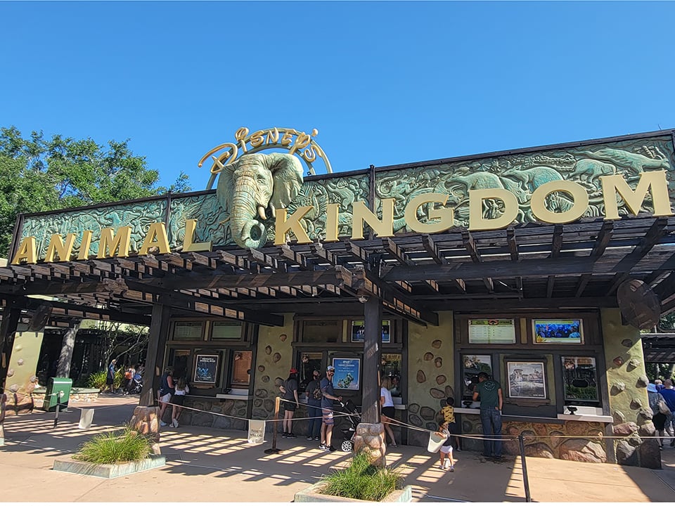 What Is the Disney World Address? Here’s a Comprehensive List