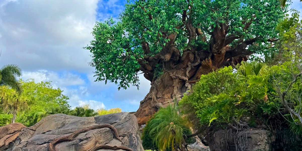 How to make the most of a day at Animal Kingdom