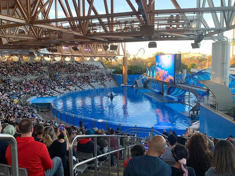 The Surprising Reason SeaWorld Still Has Orcas, Years After Blackfish