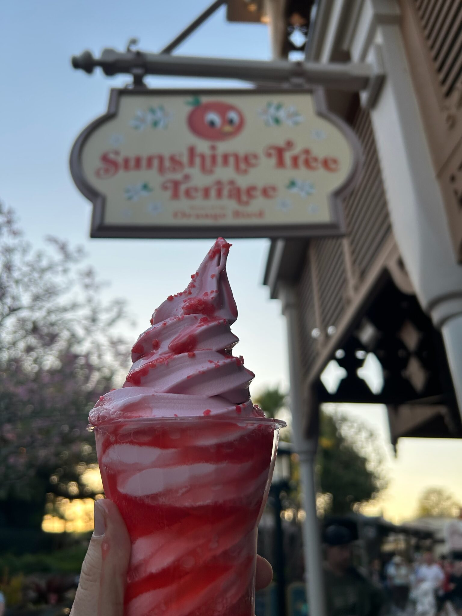 Dining at Magic Kingdom
