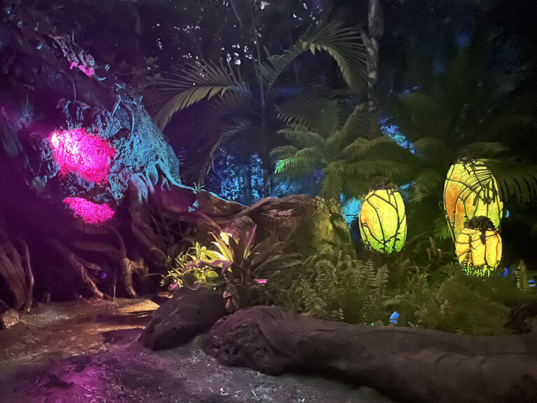 Does Animal Kingdom Have a Night Show? Things To Do After Dark